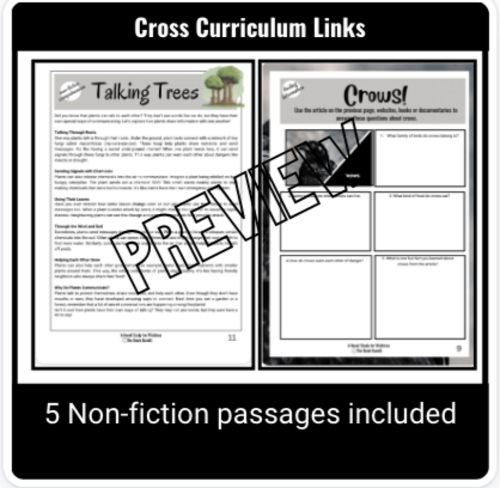 WISHTREE by Katherine Applegate NOVEL STUDY | Teaching Resources