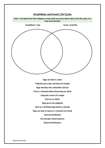 Science- Living Things & Their Habitats- Year 5- Amphibian & Insect ...