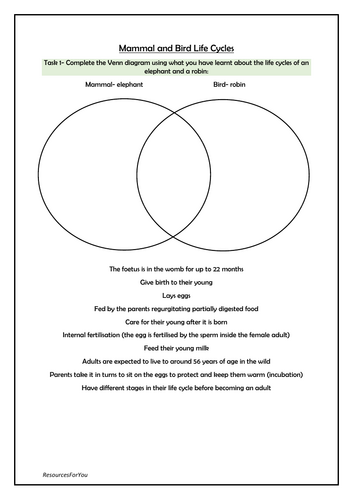 Science- Living Things & Their Habitats- Year 5- Mammal & Bird Life ...