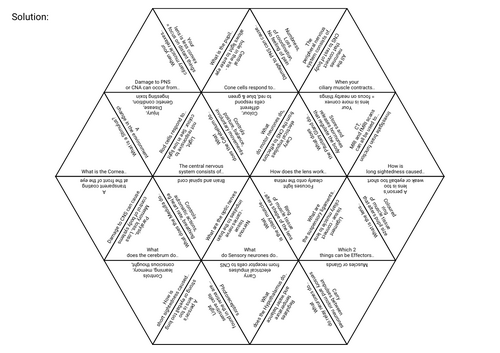 B3.1 Nervous System Brain and Eye Tarsia | Teaching Resources