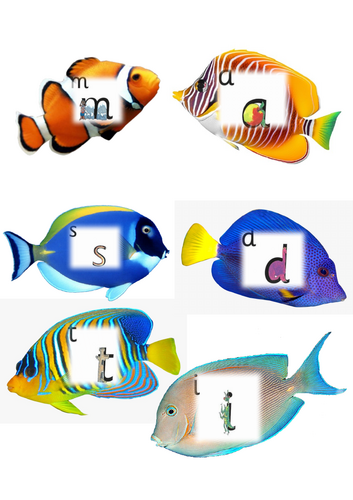 RWI set 1 sounds fish | Teaching Resources