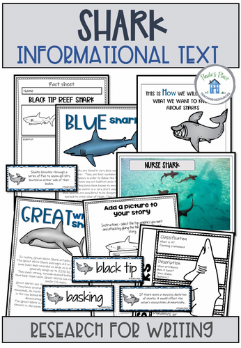 Shark Information Pack | Teaching Resources