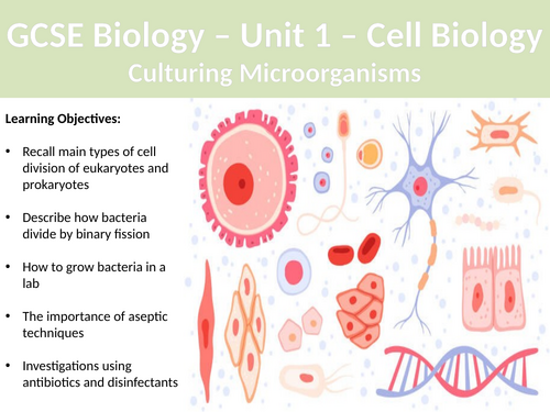 GCSE Biology - Culturing Microorganisms | Teaching Resources