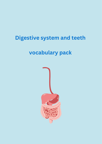 Year 4 Digestive system vocabulary pack | Teaching Resources