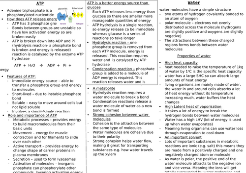 Biological molecules - Biology AQA A level revision posters | Teaching ...