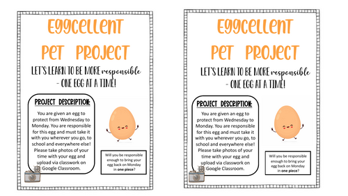 Responsibility Egg Project | Teaching Resources