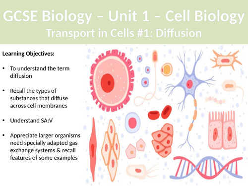 GCSE Biology - Diffusion | Teaching Resources