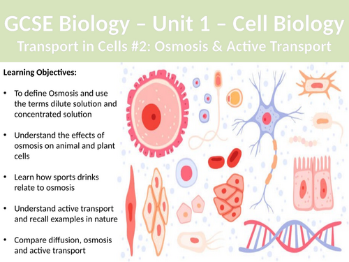 GCSE Biology - Active Transport & Osmosis | Teaching Resources