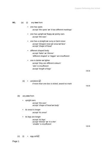 Year 8 Science KS3 AQA 20 minute tests | Teaching Resources