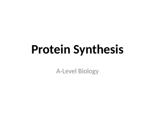 Protein Synthesis (AQA A-Level Biology 3.4.2) | Teaching Resources