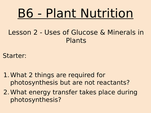 B6 Plant Nutrition IGCSE Biology L2 | Teaching Resources