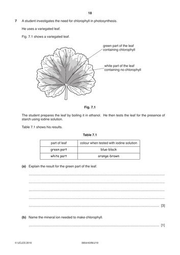 B6 Plant Nutrition IGCSE Biology L5 | Teaching Resources
