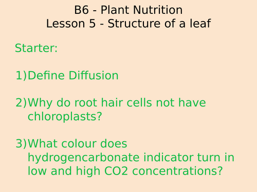 B6 Plant Nutrition IGCSE Biology L6 | Teaching Resources