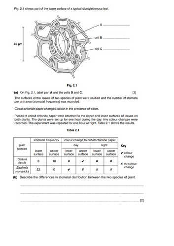 B6 Plant Nutrition IGCSE Biology L7 | Teaching Resources