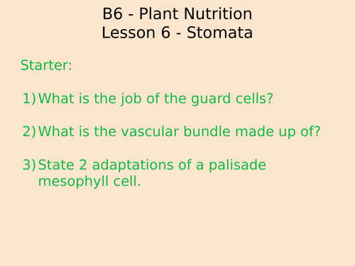 B6 Plant Nutrition IGCSE Biology L7 | Teaching Resources