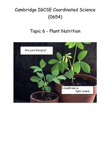 B6 Plant Nutrition Booklet | Teaching Resources
