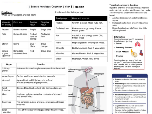 KS3 science revision knowledge organisers | Teaching Resources