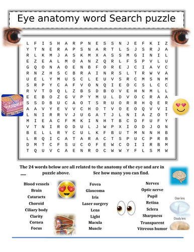 Eye Anatomy Word Search Puzzle | Teaching Resources