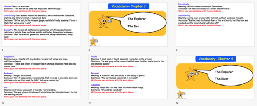 The Explorer by Katherine Rundell- diary entry of Fred based on Chapter ...