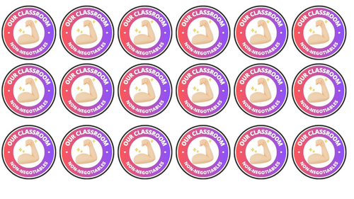 Our Classroom Non-Negotiables (Poster) | Teaching Resources