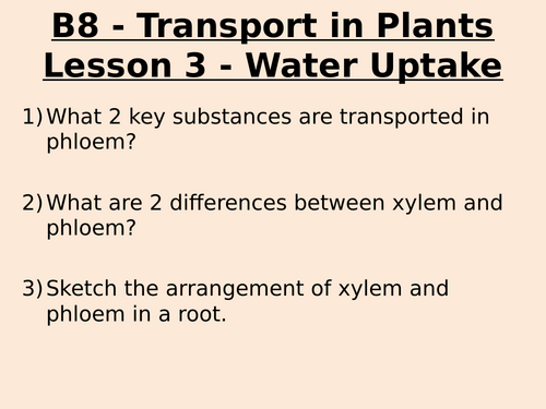B8 Plant Transport IGCSE Biology L3 | Teaching Resources