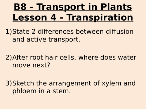 B8 Plant Transport IGCSE Biology L4 | Teaching Resources