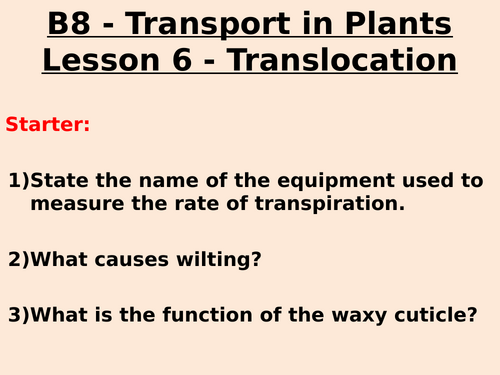B8 Plant Transport IGCSE Biology L6 | Teaching Resources