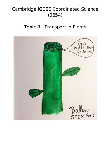 B8 Plant Transport IGCSE Biology Topic Booklet | Teaching Resources