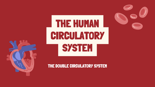 GCSE Biology - The circulatory System Part 1 | Teaching Resources
