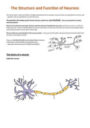 IB - Biological Approach Lesson Material Bundle | Teaching Resources