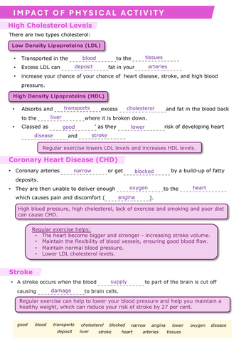 A Level PE - Impact of Physical Activity Worksheets and Answers ...