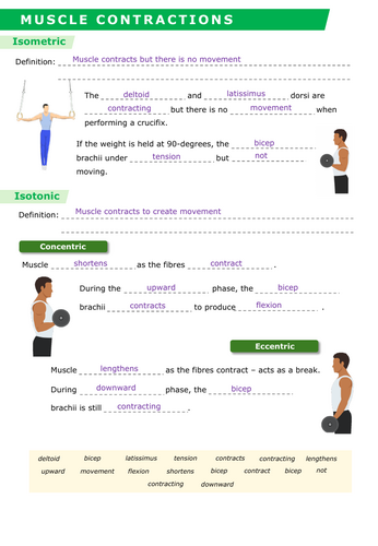 A Level PE - Muscle Contractions Worksheet and Answers | Teaching Resources