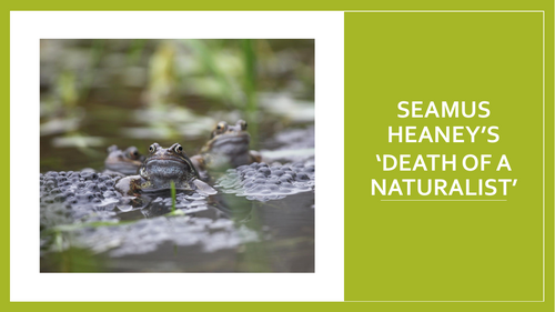 Teaching English: Poetry - Seamus Heaney's 'Death of a Naturalist ...