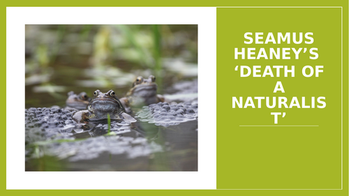 Teaching English: Poetry - Seamus Heaney's 'Death of a Naturalist ...