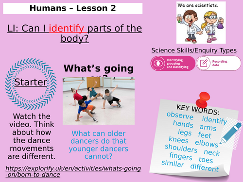 Year 1 Science - Humans | Teaching Resources