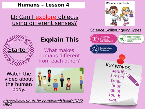 Year 1 Science - Humans | Teaching Resources