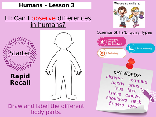 Year 1 Science - Humans | Teaching Resources