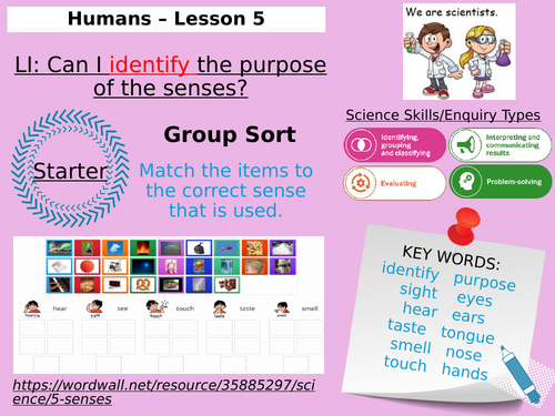 Year 1 Science - Humans | Teaching Resources