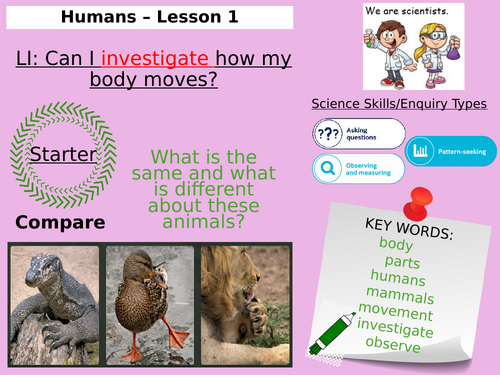 Year 1 Science - Humans | Teaching Resources
