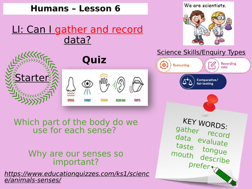 Year 1 Science - Humans | Teaching Resources