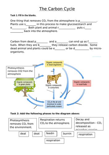 Carbon Cycle GCSE | Teaching Resources