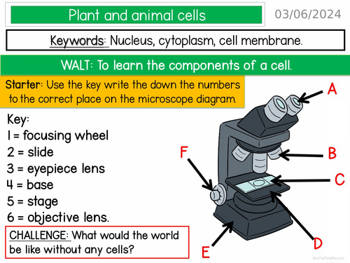 Plant and Animal Cell -Cambridge Lower, 7a Exploring Science | Teaching ...