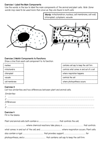 Plant and Animal Cell -Cambridge Lower, 7a Exploring Science | Teaching ...