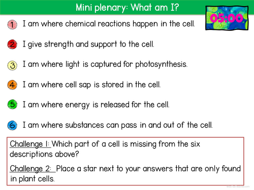 Plant and Animal Cell -Cambridge Lower, 7a Exploring Science | Teaching ...