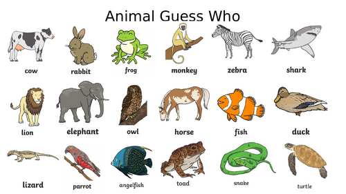 Year 1 Science Animals inc humans | Teaching Resources