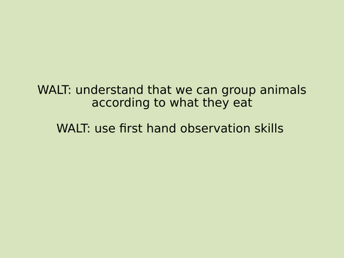 Year 1 Science Animals inc humans | Teaching Resources
