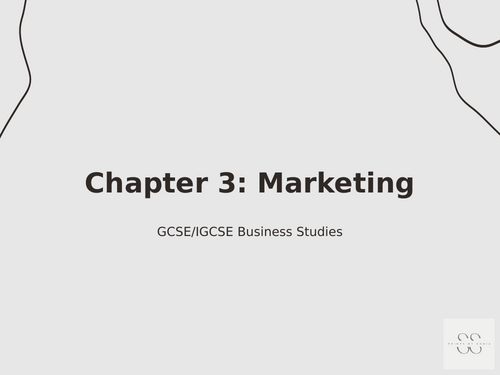 IGCSE Business Studies Chapter 3 Teaching Slides | Teaching Resources
