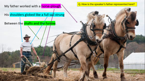 Follower by Seamus Heaney - Full Lesson Activities - CIE Poetry iGCSE ...