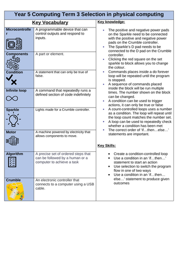 Year 5 Computing Knowledge Organisers Teaching Resources