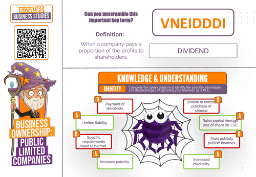 Business Ownership: Public Limited Companies - FREE Worksheet & Youtube ...